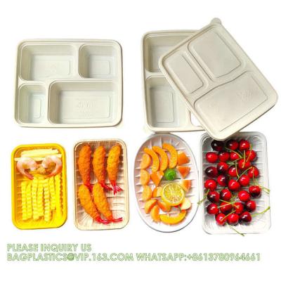 China Disposable Biodegradable Sugarcane Bagasse Pulp Food Container Take Away Lunch Box Sugar Cane Food Container for sale