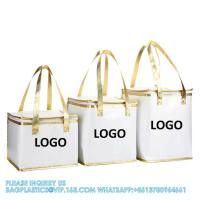 China Sustainable Catering Cooler Bags Keep Food Warm Catering Therma Catering Shopper Accessories Hot XL XXL Pizza for sale