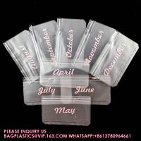 China Reusable Cash Stuffing Binder Plan, Money Saving Binder Organizer Books Budget, purse, Metal slider bag zipper bag for sale