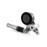 China Q 7 Phaeton Diesel 3.0 T Belt Tensioner 059145201F for sale
