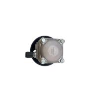 China Power Steering Pump 36050558 Servo Resistant Pump for sale