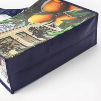 China Eco-Friendly Custom Logo Printed Reusable Grocery Shopping Tote PP Non-Woven Bag for sale