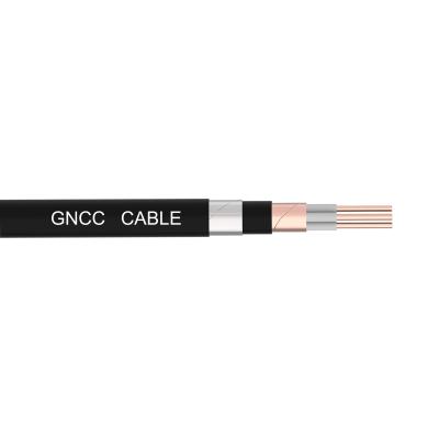 China Copper Tape Screened PVC Sheathed Control Cable KVVP2-22 for 450/750V Rated Applications for sale