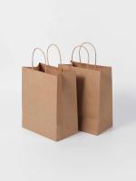 China Twisted Handle Brown Paper Bags Brown Kraft Shopping Bags Lightweight for sale