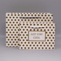 China OEM / ODM Customization Twisted Handle Paper Packing Bag  For Clothing for sale