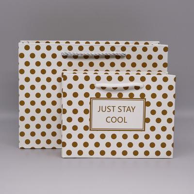 China OEM / ODM Customization Twisted Handle Paper Packing Bag  For Clothing for sale