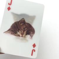 China PET Lenticular 3D Card Custom Lenticular Card With Glossy Or Matte Lamination for sale
