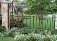 China Steel Fence with 32x32mm Rails and 1.2mm Thickness - 0.9m to 1.8m Heights Available for sale