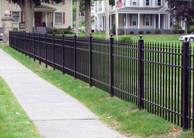 China Steel Fence with 32x32mm Rails and 1.2mm Thickness - 0.9m to 1.8m Heights Available for sale