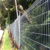 China 2.4m Galvanized BRC Fencing System with 5-6mm Wire Diameter and Multiple Coating Options for sale