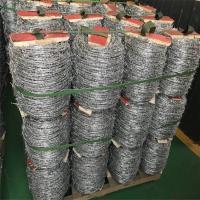 China 4 Point Hot Dip Galvanized Barbed Wire - 800-1200 N/mm² Tensile Strength with 3-6 Inch Barb Spacing for sale