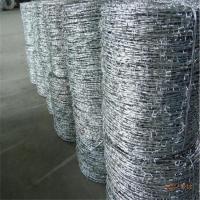 China Double Strand Galvanized Barbed Wire - 380-1200 N/mm² Tensile Strength, 3-6