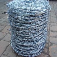 China High Tensile Hot Dip Galvanized Barbed Wire 2.0mm x 500m Roll for Perimeter Security Fencing for sale
