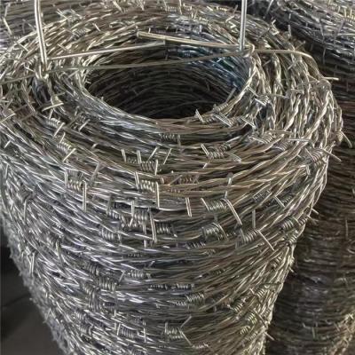 China 14x14 Galvanized Barbed Wire with 800-1200 N/mm² Tensile Strength and 3-6 Inch Barb Spacing for sale