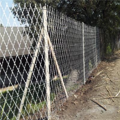 China Razor Wire 100m Coiled Security Barb Fence - BTO-22 Type 0.4mm Thickness 2.5mm Wire Diameter for sale