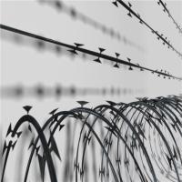 China Hot Dipped Galvanized Concertina Razor Wire BTO-22 450mm Coil Anti Climb Security Fence for sale