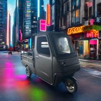 China Opitional 1000/1200/2000/3000W Electric Tricycles for Family -3 Wheel E-Bike and Pedicab for sale