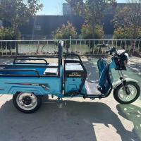 China Heavy duty cargo transport with 3.75-12 tire size 600kg 1000w 3 wheel electric motorcycle for sale