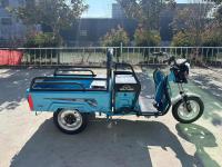 China Custom Farm 1200W Electric Tricycle Motorcycle with Front Drum Rear Drum Brake System for sale