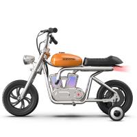 China Max. Speed 17km/h Brush Motor 160W 200W 24V Electric Kids Dirt Bike for Motocross Thrills for sale