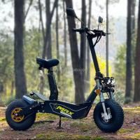 China Off Road 2000W 3000W Mobility Electric Scooter COC EEC Brushless Motor 10inch Hub Motor Electric Scooter Motor Bike with CE for sale