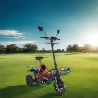 China Electric Scooter with Dual Brushless Motors and Steel Frame 48V500W*2 Lithium Battery for sale