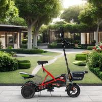 China Electric Scooter with Dual Brushless Motors and Steel Frame 48V500W*2 Lithium Battery for sale