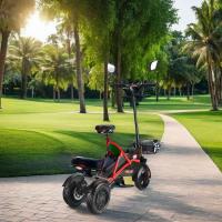 China Electric Scooter with Dual Brushless Motors and Steel Frame 48V500W*2 Lithium Battery for sale