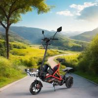 China Electric Scooter with Dual Brushless Motors and Steel Frame 48V500W*2 Lithium Battery for sale