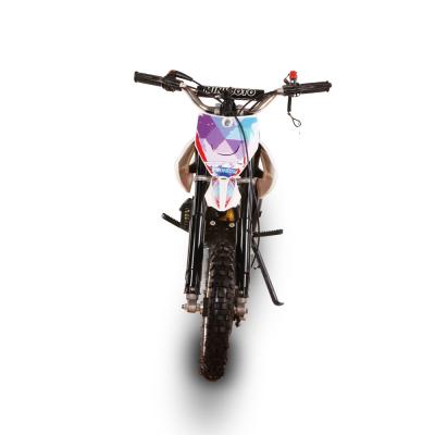 China 49cc 2 Stroke Pull Start Mini Dirt Bike with Max. Speed 40km/h and Motor Other for sale