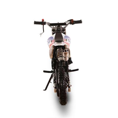 China Transmission Automatic Clutch RUNPRO Mini Kids 2 Stroke Dirt Bike Max. Speed 40km/h for sale