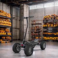 China OEM Smart Digital Sensor Electronic Bluetooth 2kw 48V30ah Electric Scooter for Off-Road for sale