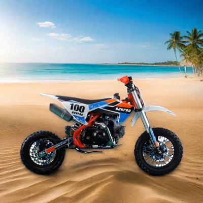 China 110cc 125CC 4 Stroke Manual Kids Racing Pit Dirt Bike with 14/12 Steel Rim Wheels Tires for sale