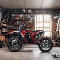 China 250cc Off-Road 4-Stroke Gasoline Motocross Dirt Bike with Electric Start and Disc Brake for sale