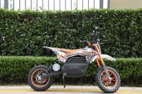China Charging Time 6-8 Hours 1000W Motor Power Electric Dirt Bike for Off-Road Adventures for sale