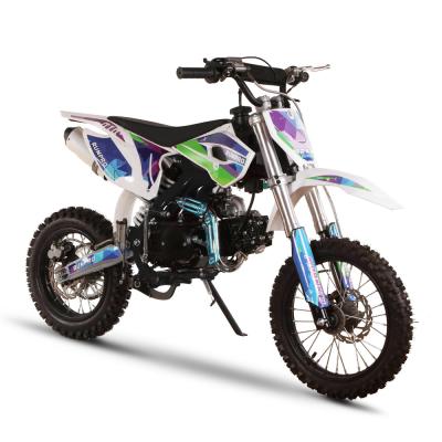 China 110cc 125cc 140cc Dirt Pit Bikecross Bike with Manual Transmission and 14/12 Wheel Size for sale