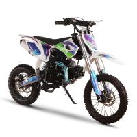 China 110cc Mini Moto Pit Bike Gas Power Automatic 4 Stroke Motorcycle CE for Kids Dirt Bike for sale
