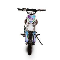 China Manual Transmission 110cc 125cc Gasoline Engine Kids Gas Dirt Bikes for Speed Adventures for sale