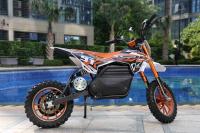 China CE Certified 2024 Off-Road Motorcycles RunPro 1000W36V Electric Motorbike for Kids for sale