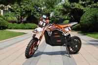 China CE Certified 2024 Off-Road Motorcycles RunPro 1000W36V Electric Motorbike for Kids for sale