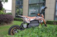 China Electric Motorcycles Two Wheeler 1000W36/48V Electric Pit Bikes Kids Dirt Bike with CE for sale