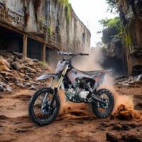 China Electric Start 110CC 125CC 4 Stroke DIRT BIKE Off Road Motorcycle for Adult and Kids for sale