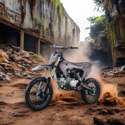 China Electric Start 110CC 125CC 4 Stroke DIRT BIKE Off Road Motorcycle for Adult and Kids for sale