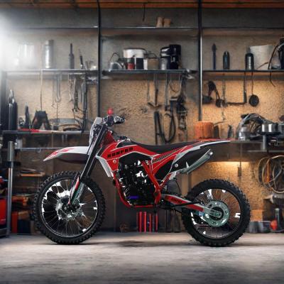 China 2024 CE Certified 250cc 4 Stroke Dirt Bike Pit Moto Cross for Racing and Off-Road Sports for sale