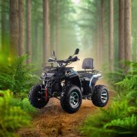 China 200CC ATV 250CC ATV Adult ATV Quad Bike with Chain Drive and 1000W Electric Pull Start for sale