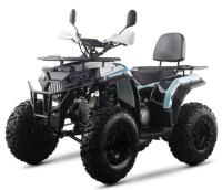 China 200CC ATV 250CC ATV Adult ATV Quad Bike with Chain Drive and 1000W Electric Pull Start for sale