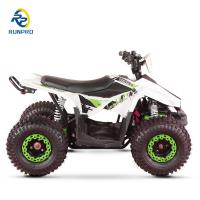 China 1200W48V20AH Shaft Drive Differential Electric 4 Wheel ATV for Mini Quad Enthusiasts for sale