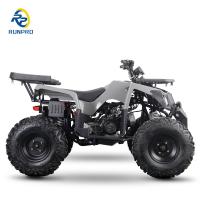 China Direct 200CC 2WD ATV Quad Gas Powered ATVs for Adults Electric Start and Chain Drive for sale