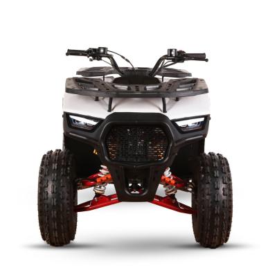 China Adult Gasoline Transmission 125cc ATV Motorcycle UTV with 150-200mm Ground Clearance for sale
