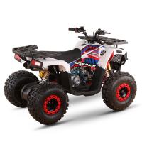 China Adult Gasoline Transmission 125cc ATV Motorcycle UTV with 150-200mm Ground Clearance for sale